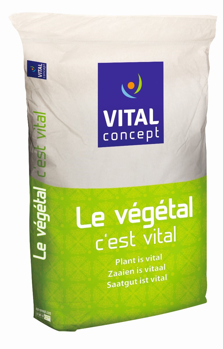Fétuque élevée Rostuque - 10kg